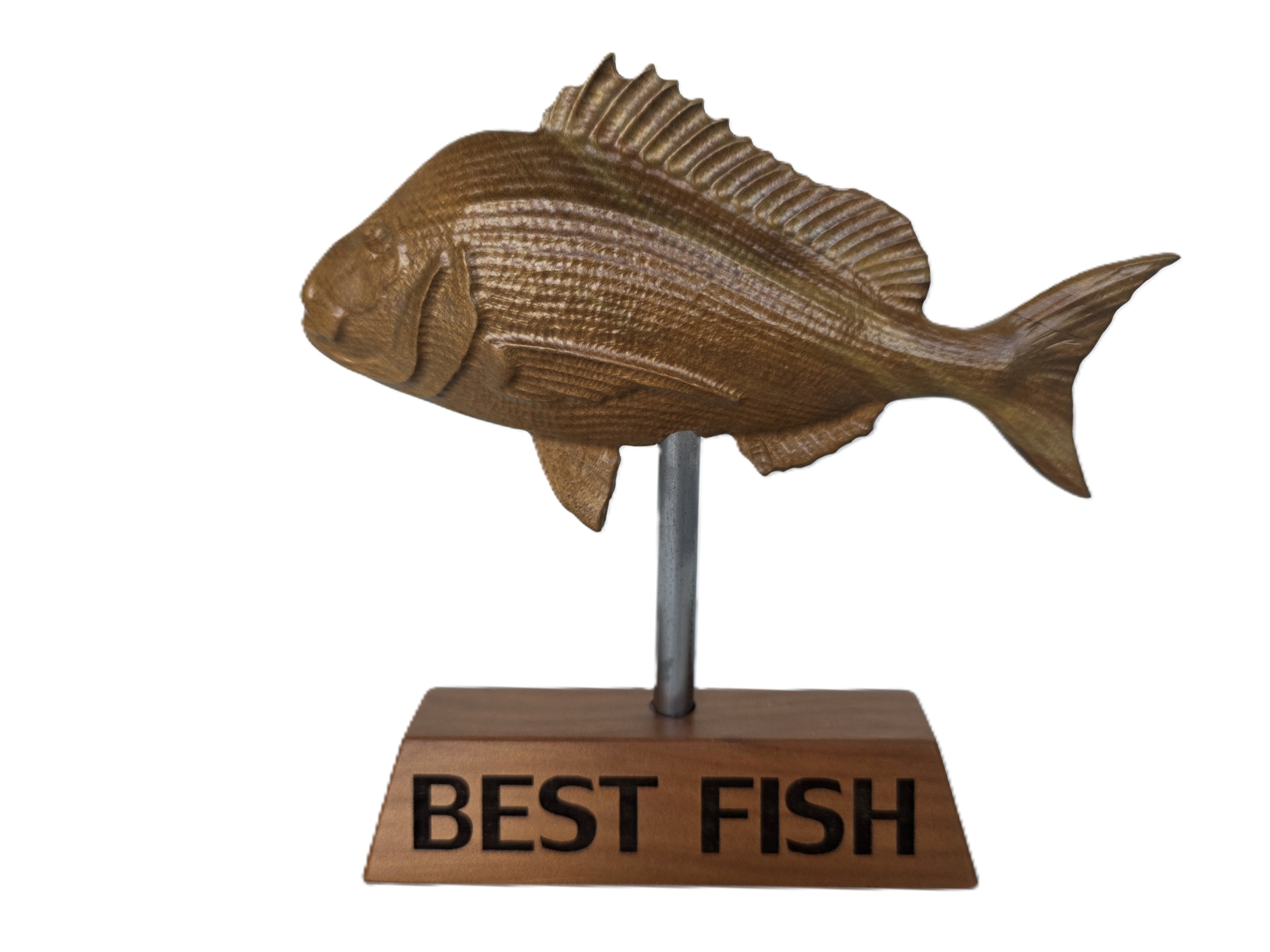 BIGGEST SNAPPER TROPHY mid size in Swamp Kauri - Swiss Wood Technician